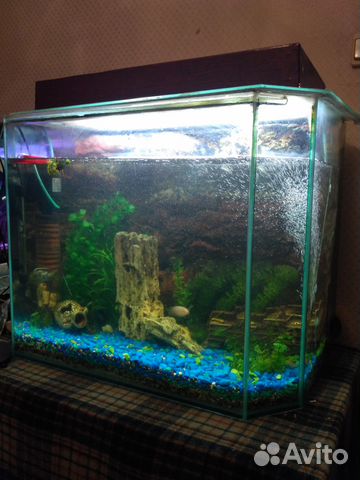 Аквариум с рыбками 220 литров