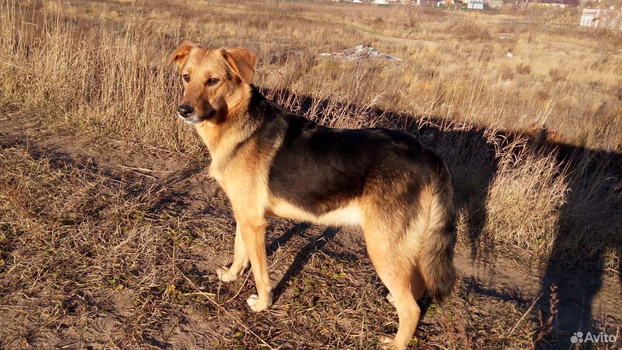 Трогательный мальчик из приюта в дар