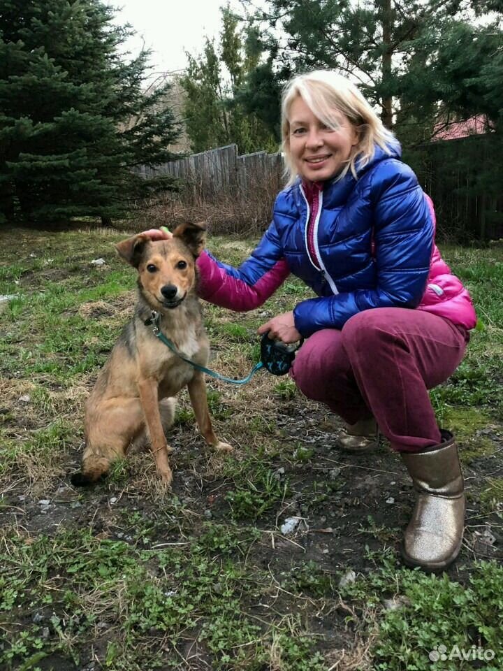 Маленькая порода девочка 35 см/ 9 кг