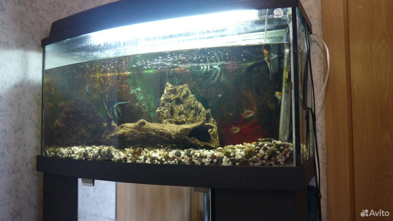Аквариум
