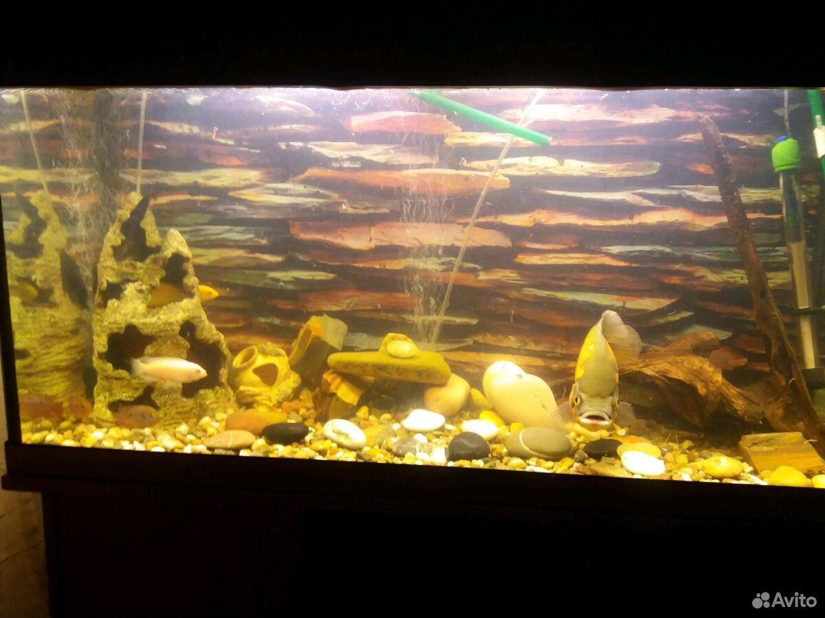 Аквариум 180л