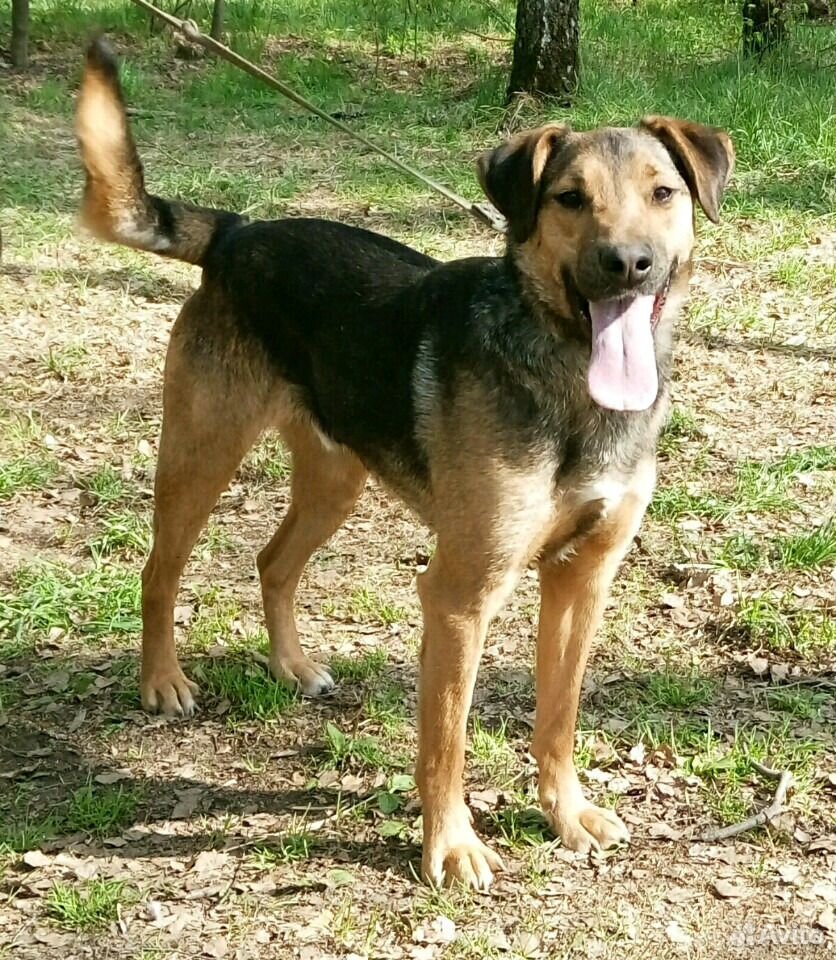 Умка -ваш друг