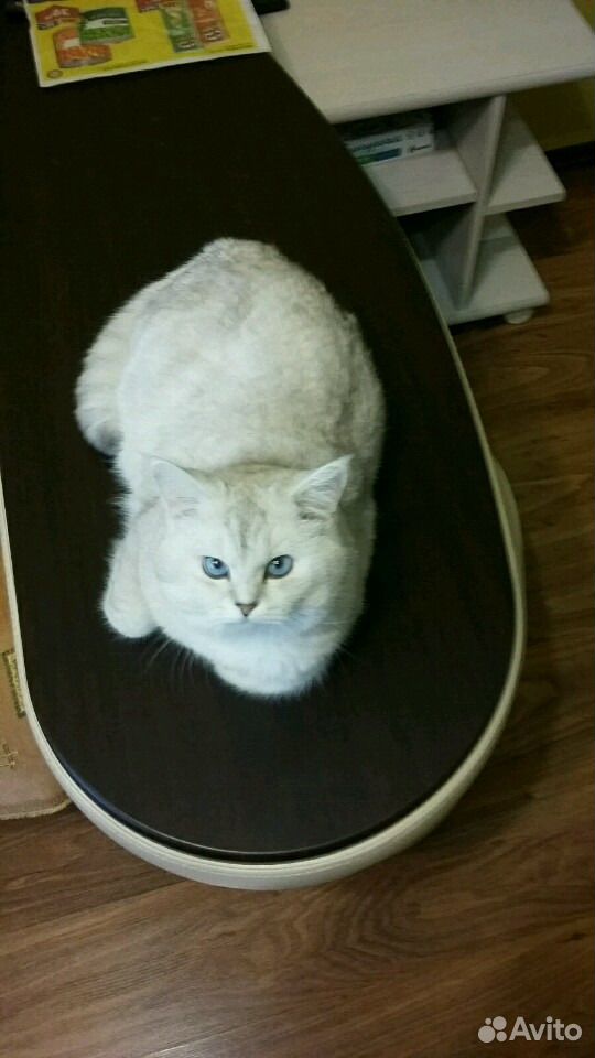 Вязка