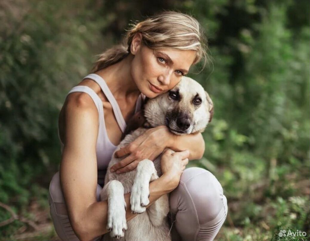 Найда. Собака грациозная