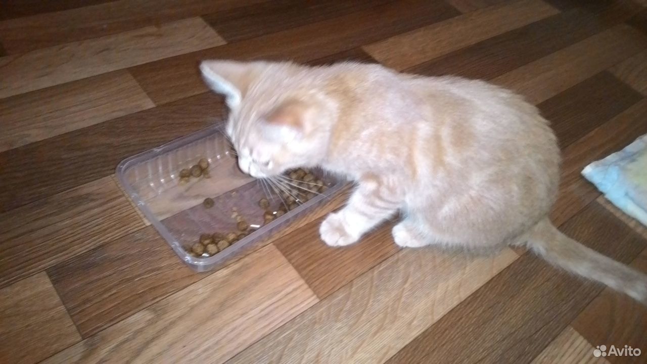 Пусть мама меня непременно найдёт