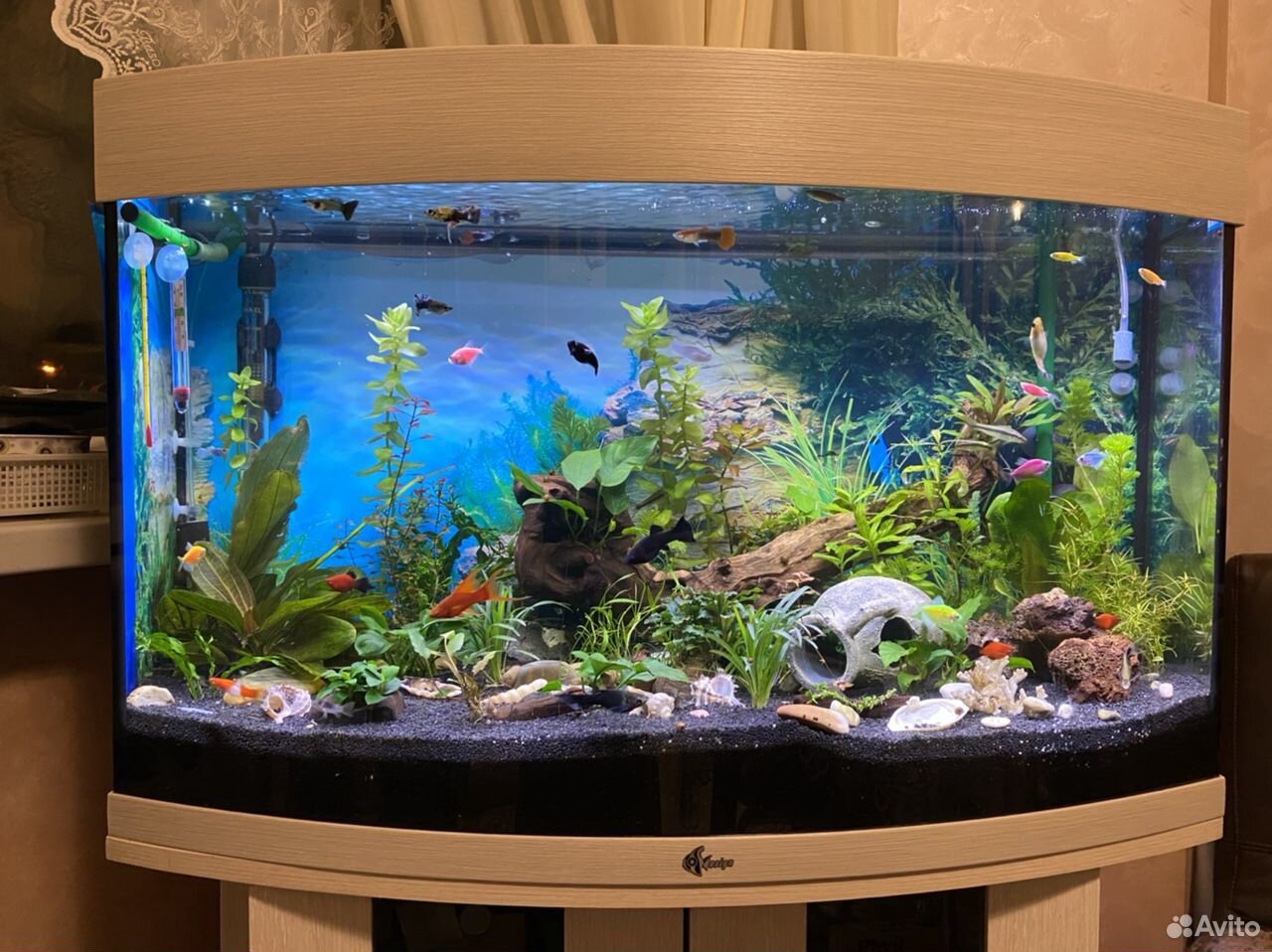 Аквариум Biodesign120л с тумбой
