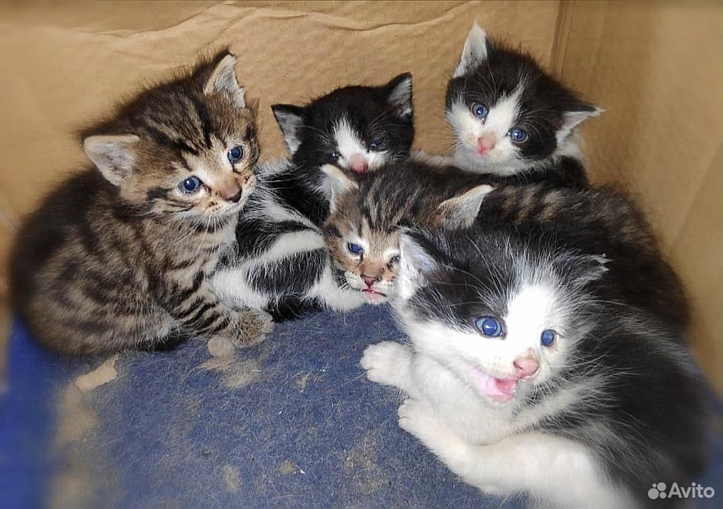 Малышам нужна помощь