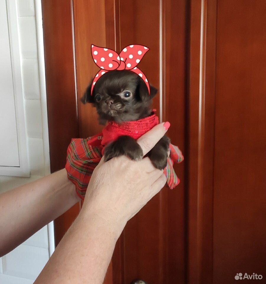 Крошка на ладошку шоколадка