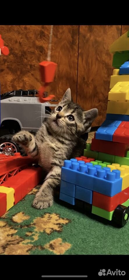 Мальчик- полосатик