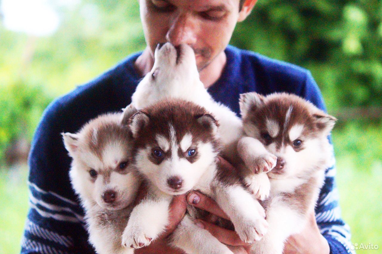 Потрясные детки из питомника