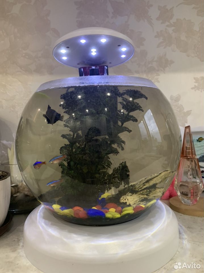 Аквариум tetra cascade globe