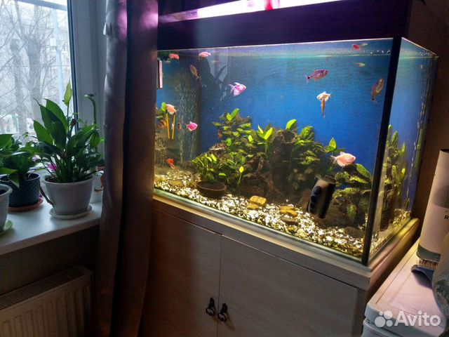 Аквариум с тумбой 300 литров