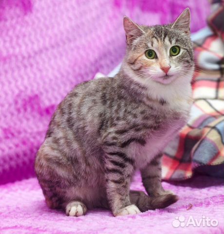 Маруша нежная и трогательная в дар