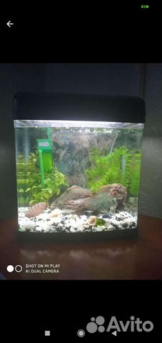 Аквариум