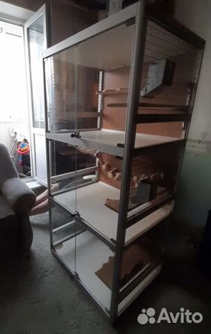 Витрина для шиншилл бу