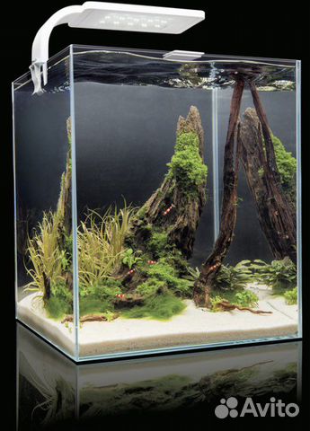 Аквариум auael 10 литров