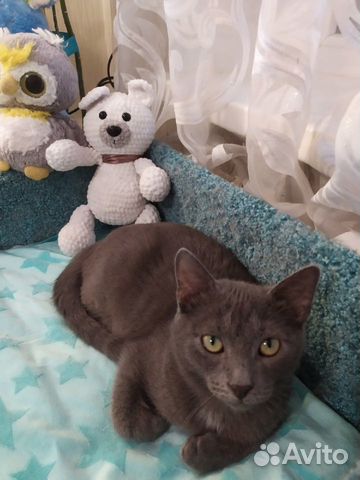 Плюшевый малыш