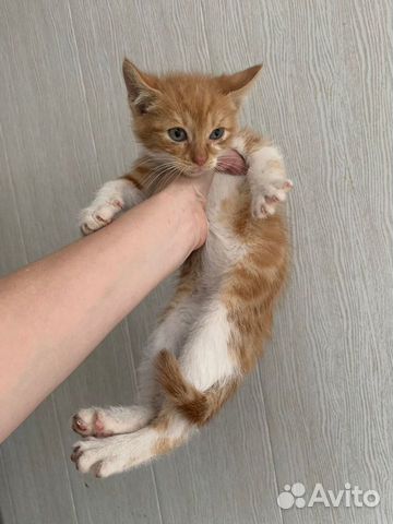 Мраморный мальчишка