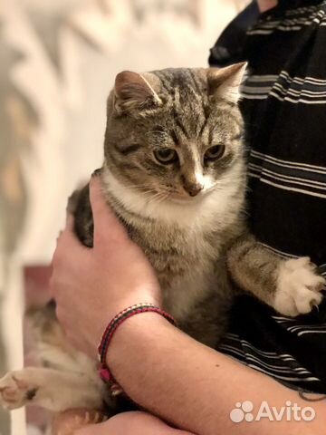 Малыш спасённый с улицы в добрые руки