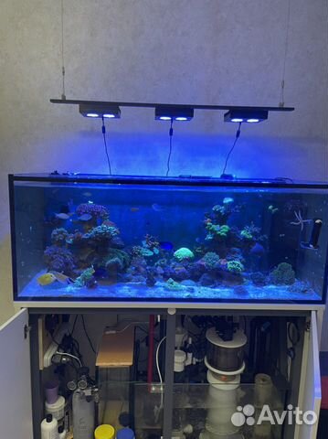 Морской аквариум