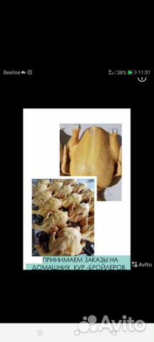 Куры и индюки. Цена договорная