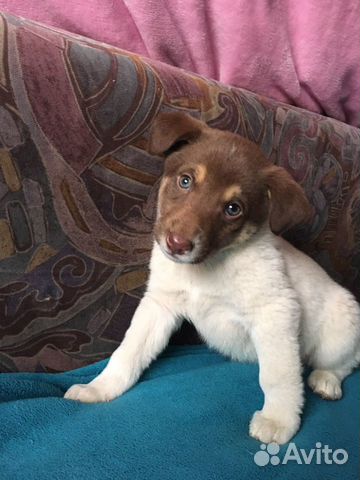 Невероятно красивая малышка хочет подарить чудо