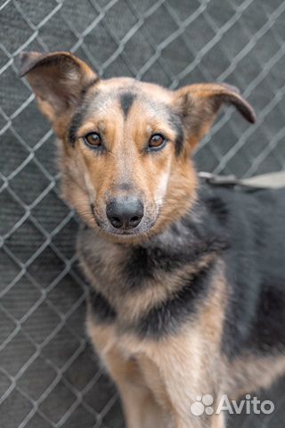 В ожидании чуда