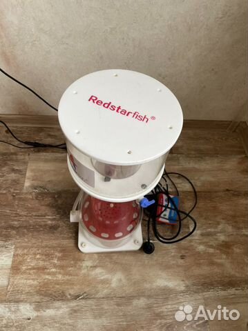 Пенник red star fish