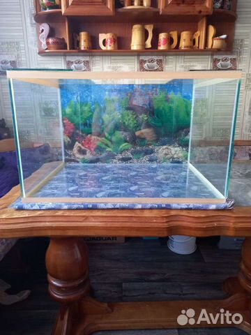 Аквариум