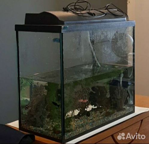 Аквариум бу