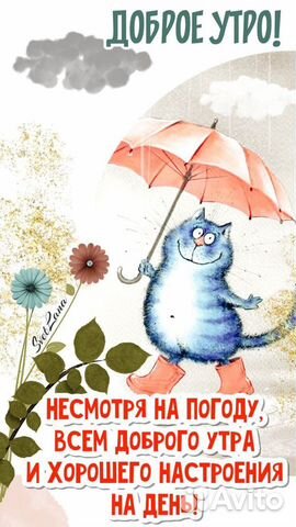 Собаки-щенки