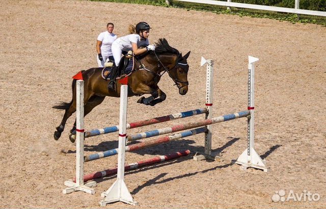 Продам лошадь