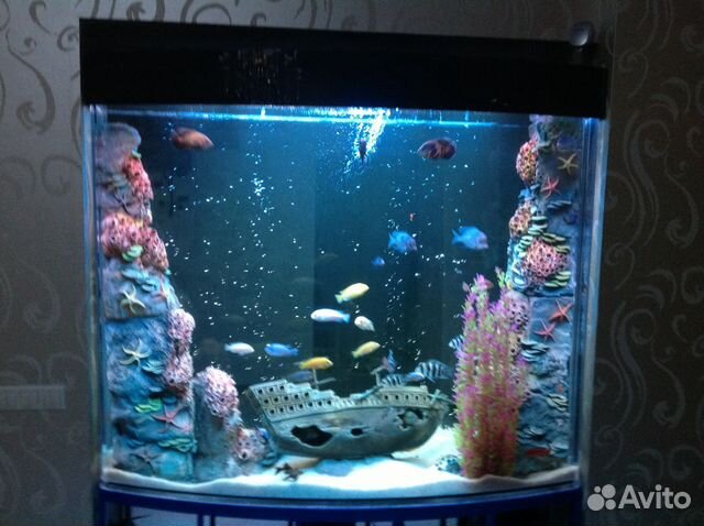 Аквариум акриловый
