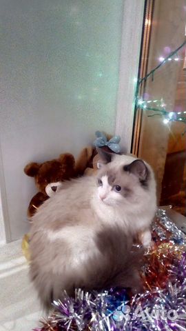 Тряпичные куколки