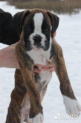 Сладкий пупс