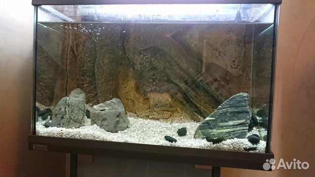 Аквариум Tetra AquaArt LED Tropical 60л + тумба