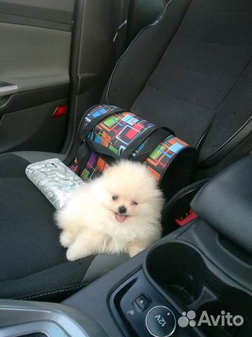 Девочка и мальчик ясные солнышки