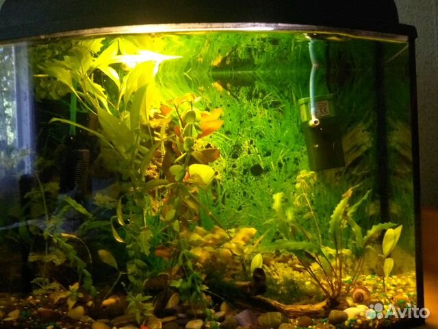 Понарамный аквариум