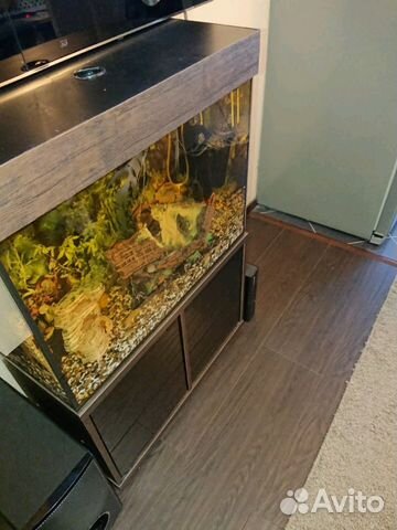 Продам аквариум