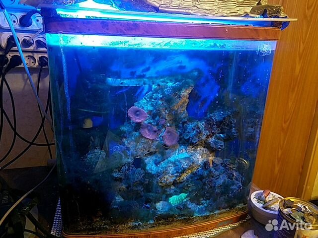 Аквариум морской 30л, комплект