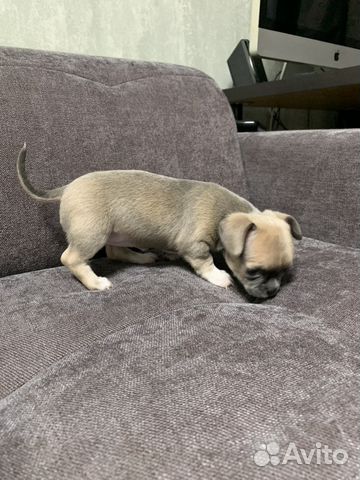 Миленькие девочки