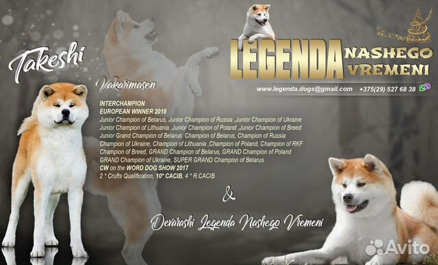 Уникальные щенки от Чемпиона Европы 2018