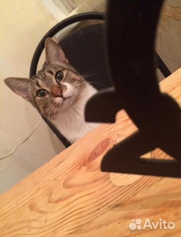 Подросток Тимошка - само обаяние и красота