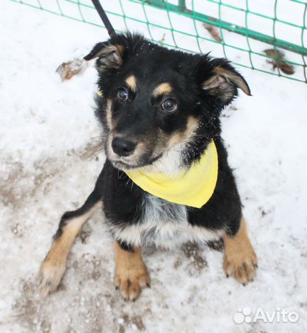 Активный парнишка Гром