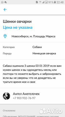 Шенки овчарки