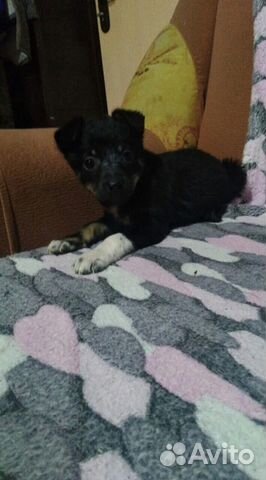 Клубочки счастья