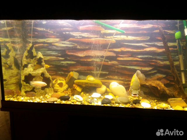 Аквариум 180л