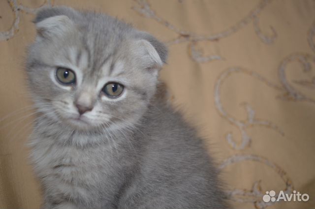 Милашки-Очаровашки