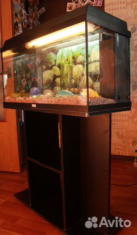 Аквариум juwel 100 литров