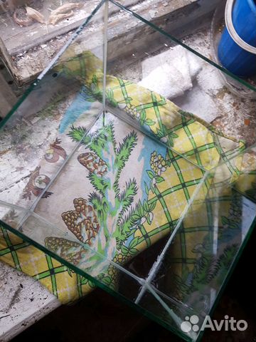 Аквариум 14л